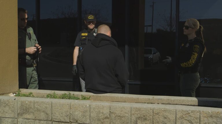 Probation vs Parole: Understanding the Key Differences and Similarities ...