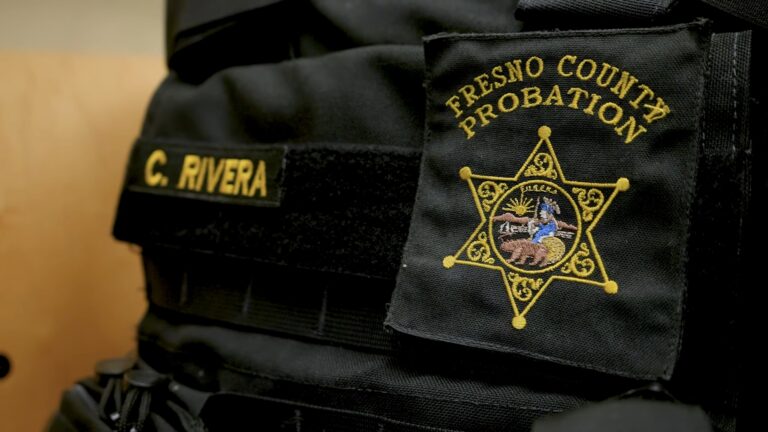 Probation vs Parole: Understanding the Key Differences and Similarities ...